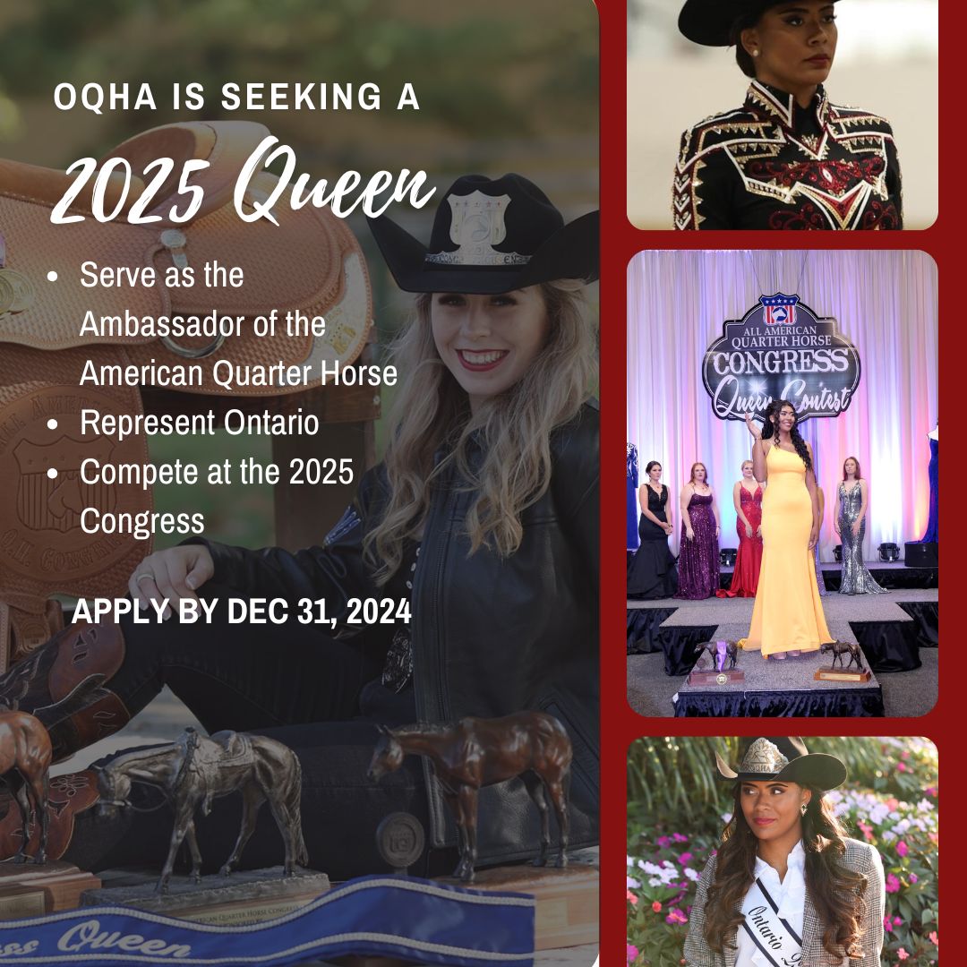 2025 Queen Application