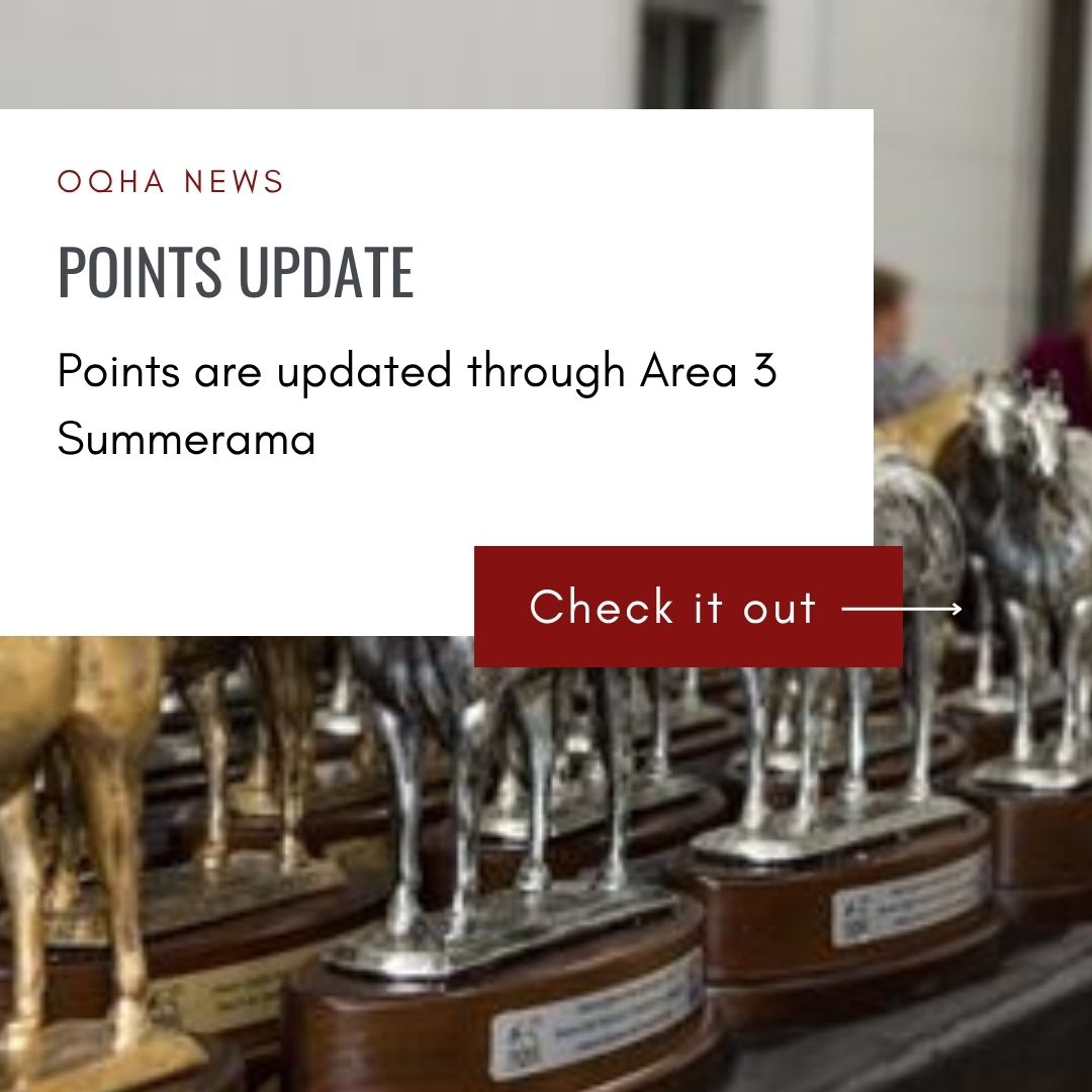 Year End Points Update