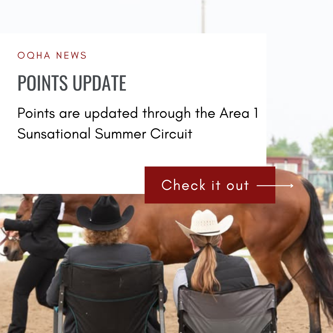 Year End Points Update